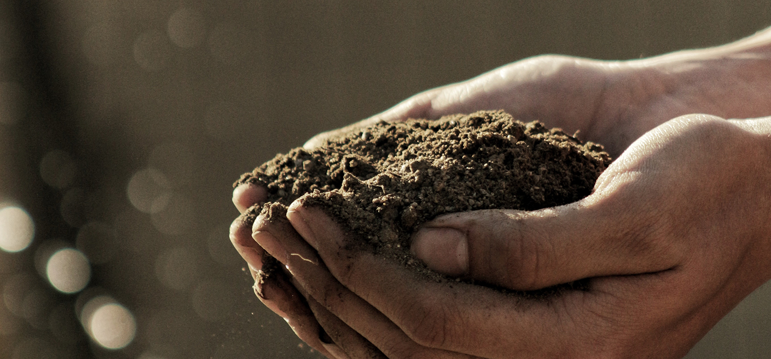 Dig. - One Beautiful Life