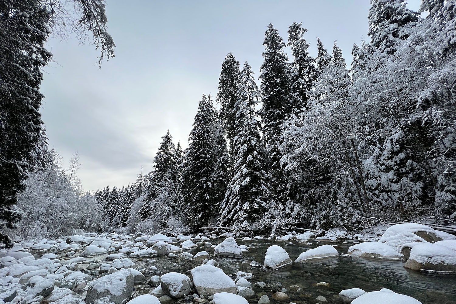 Entering the Frigid Waters of 2022 - One Beautiful Life